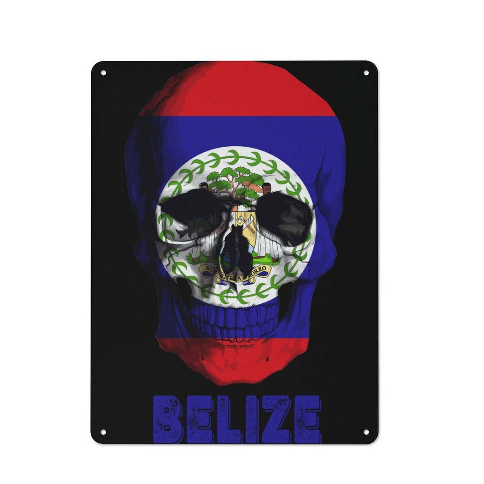 Skull Belize Flag Metal Tin Sign,Wall Decor Sign Funny Home Decor Tin ...