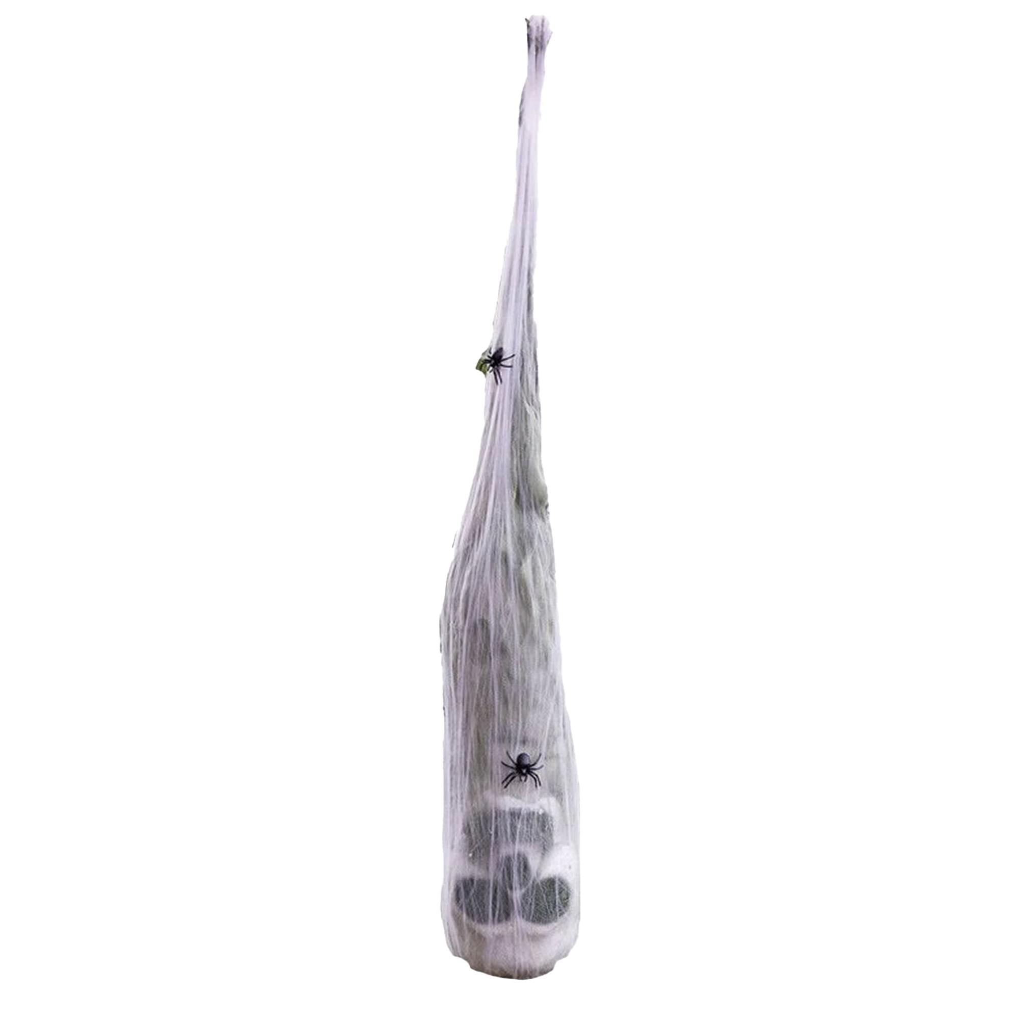 Fun World FW91073 Skull In Spider Cocoon - Walmart.com