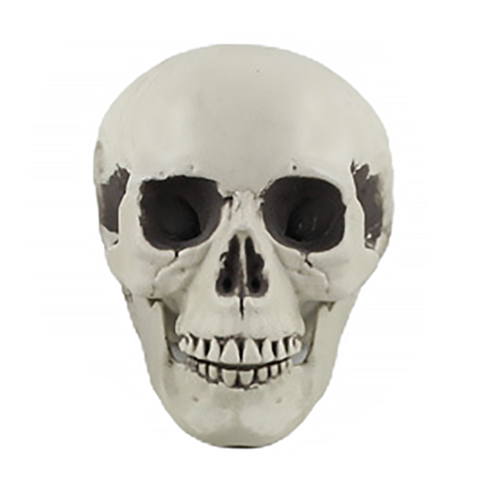 Skull Ornament Creative Delicate Realistic Human Skull Statue Head Bone ...