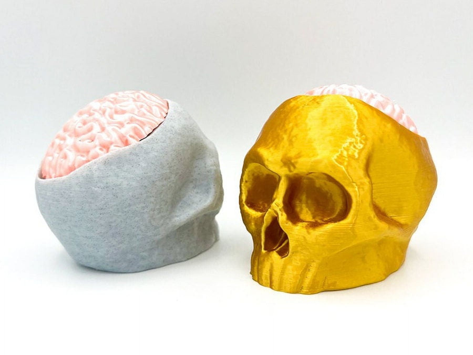 Skull with Removable Brain Lid Statue for Hiding Keys/candies - Walmart.com