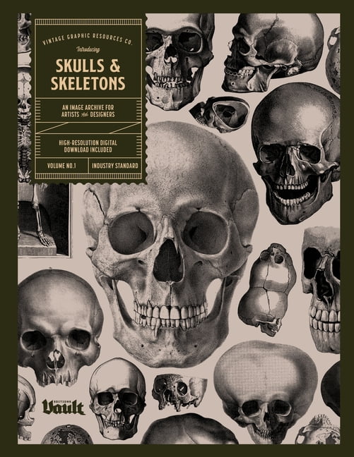 Skull Reference