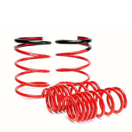 Skunk2 02-04 Acura RSX Lowering Springs (2.25in - 2.00in.) (Set of 4 ...