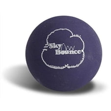 Shop Bounce Balls and Inflatable Toys for Indoor and Outdoor Play