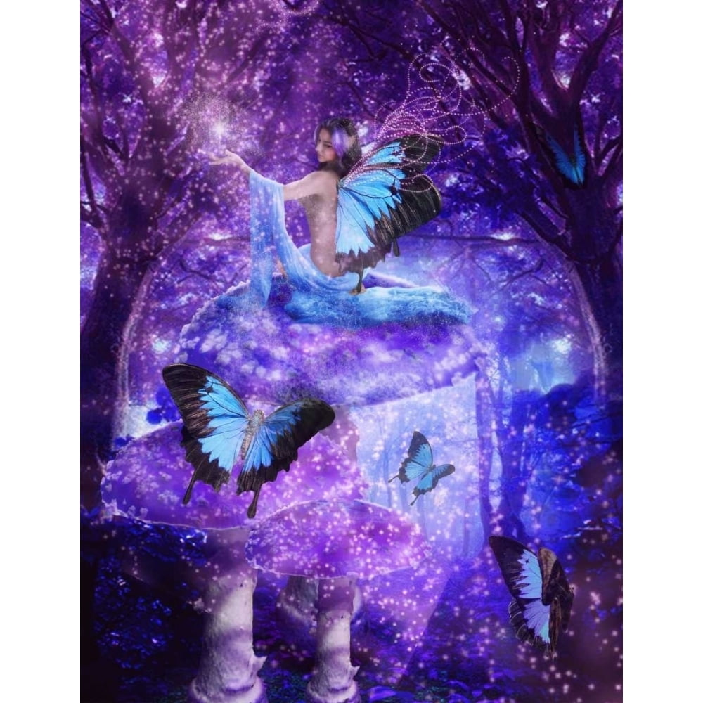 Sky Fairy Poster Print by Babette - Walmart.com