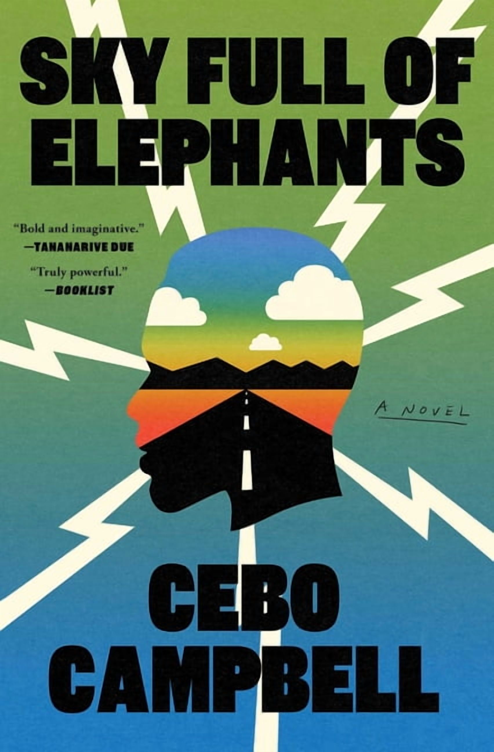 Cebo Campbell Sky Full of Elephants Paperback Exploring Post-Racial ...