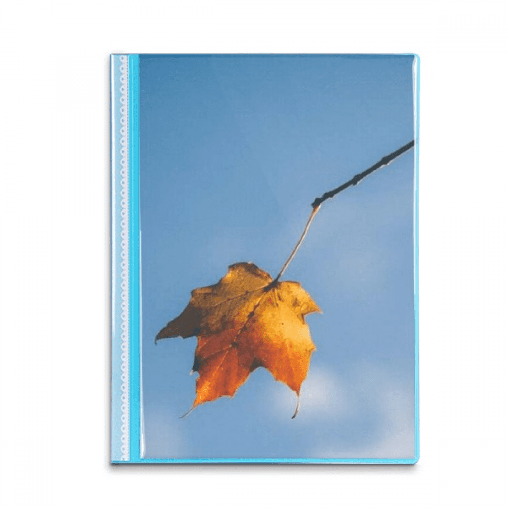 Sky Maple Science Nature Scenery Book Sheet Protectors Portfolio Binder ...