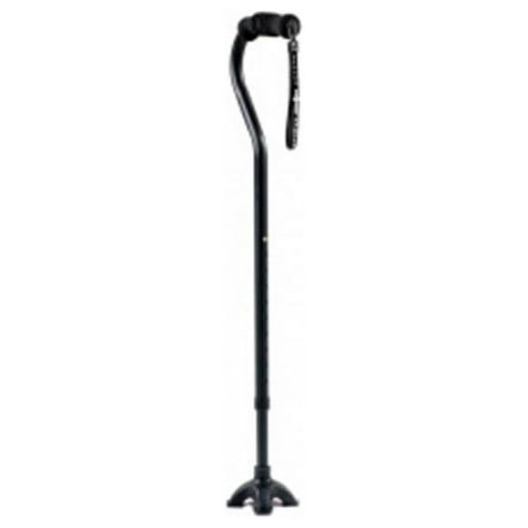Glitter Walking Cane