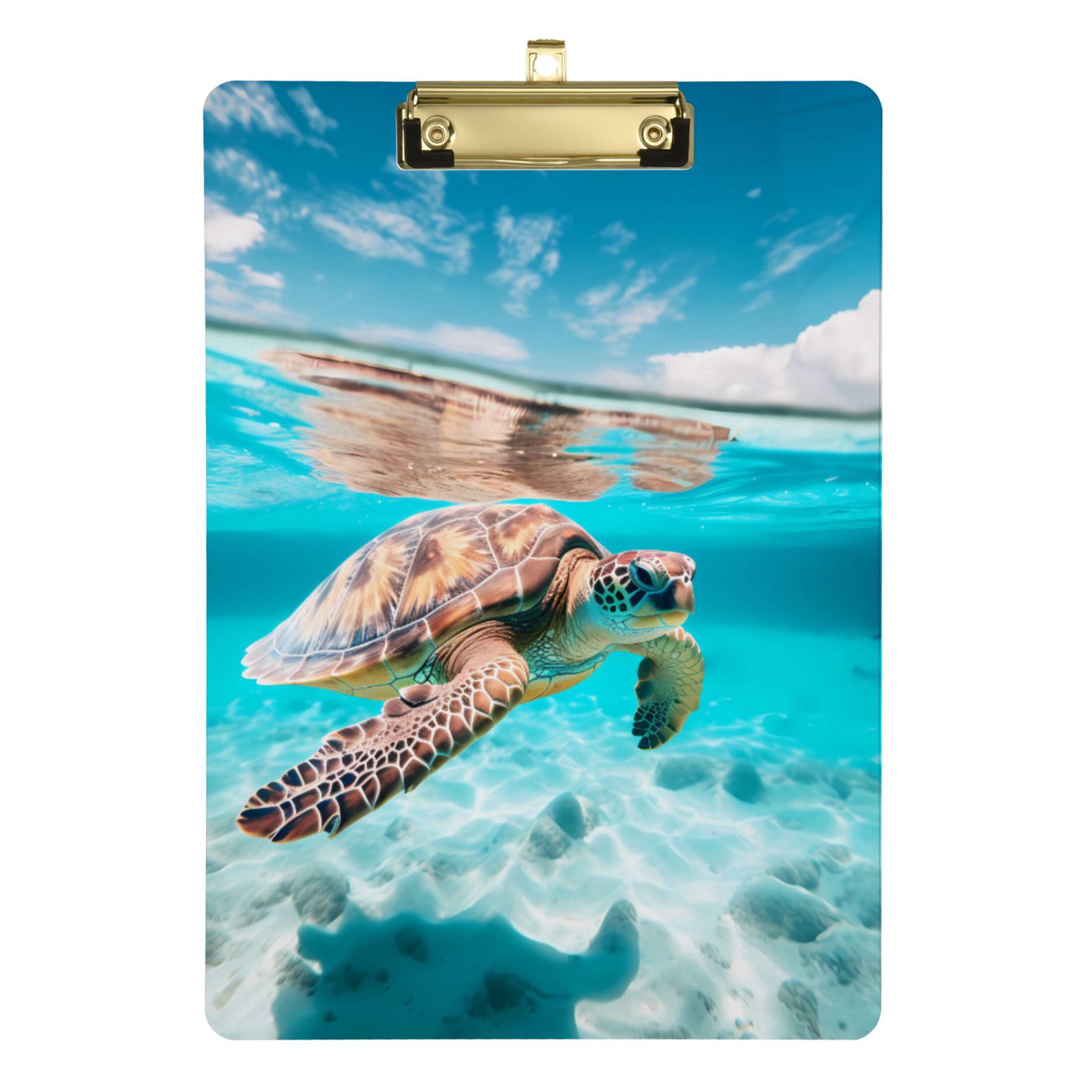 Sky and Sea Turtle in Sea Acrylic Clipboards A4 Standard Letter Size ...