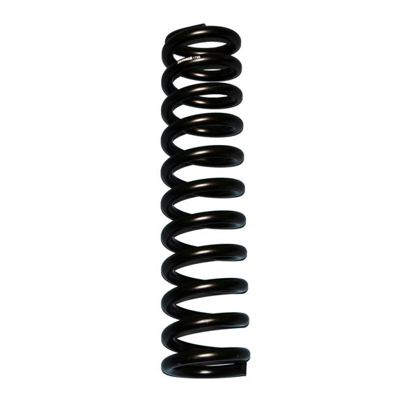 Ford F100 Coil Spring Set