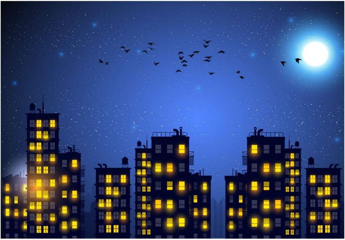 Skyline Buildings City Boom Backdrop Photography Background Children ...