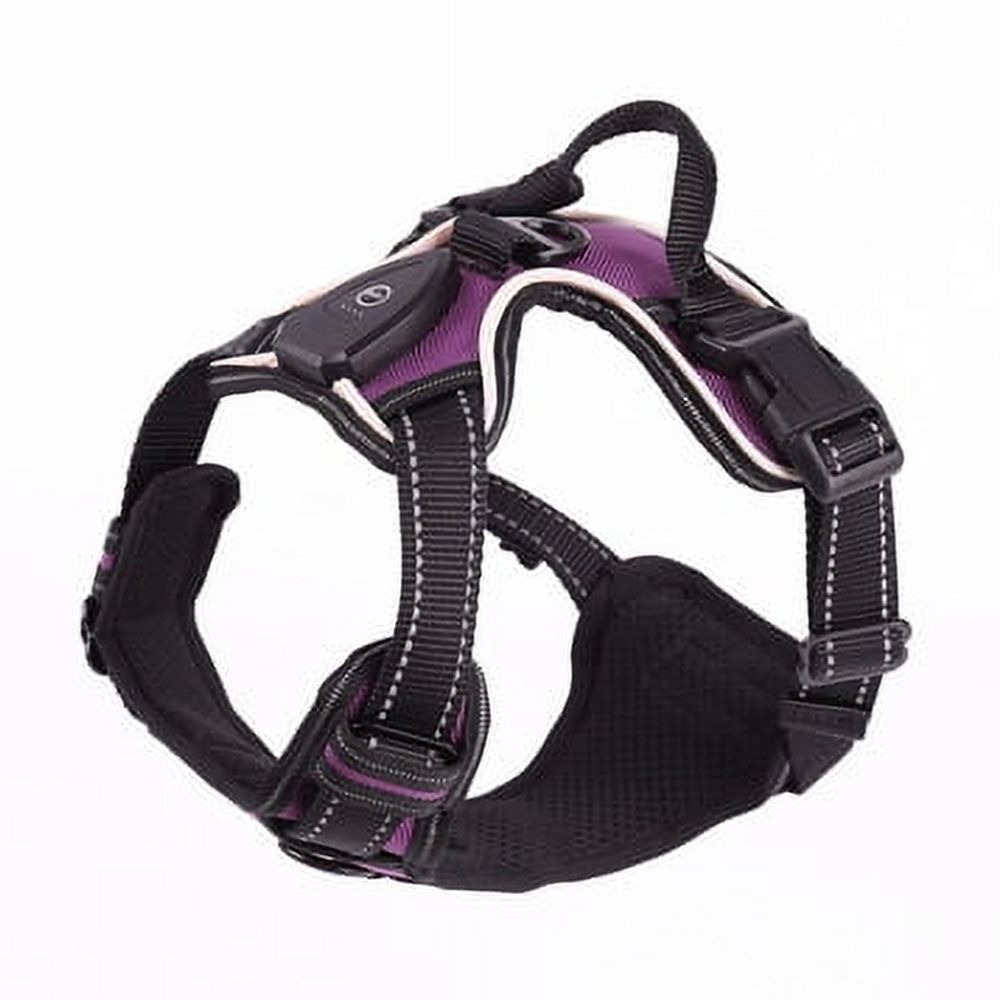 Skymirror 1 Set Luminous Pet Harness Rechargeable LED Lighted Dog ...