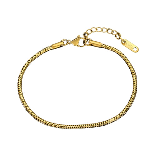 Skymirror Women Bracelet Snake Bone Chain Titanium Steel Polished Hip ...