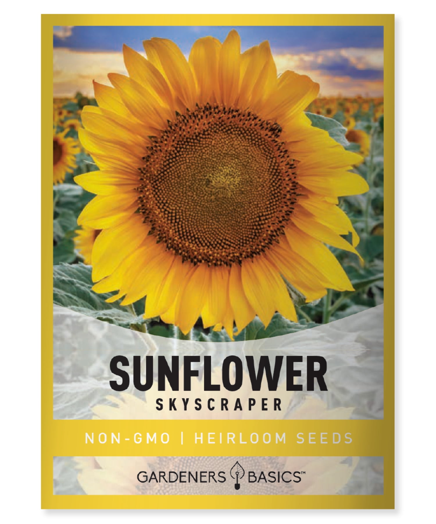 Skyscraper Sunflower Seeds - Walmart.com