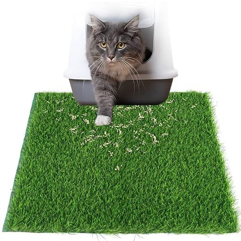 Skywin Cat Litter Mat For Litter Box (Grass) – 16 x 23 Inch Cat Litter ...