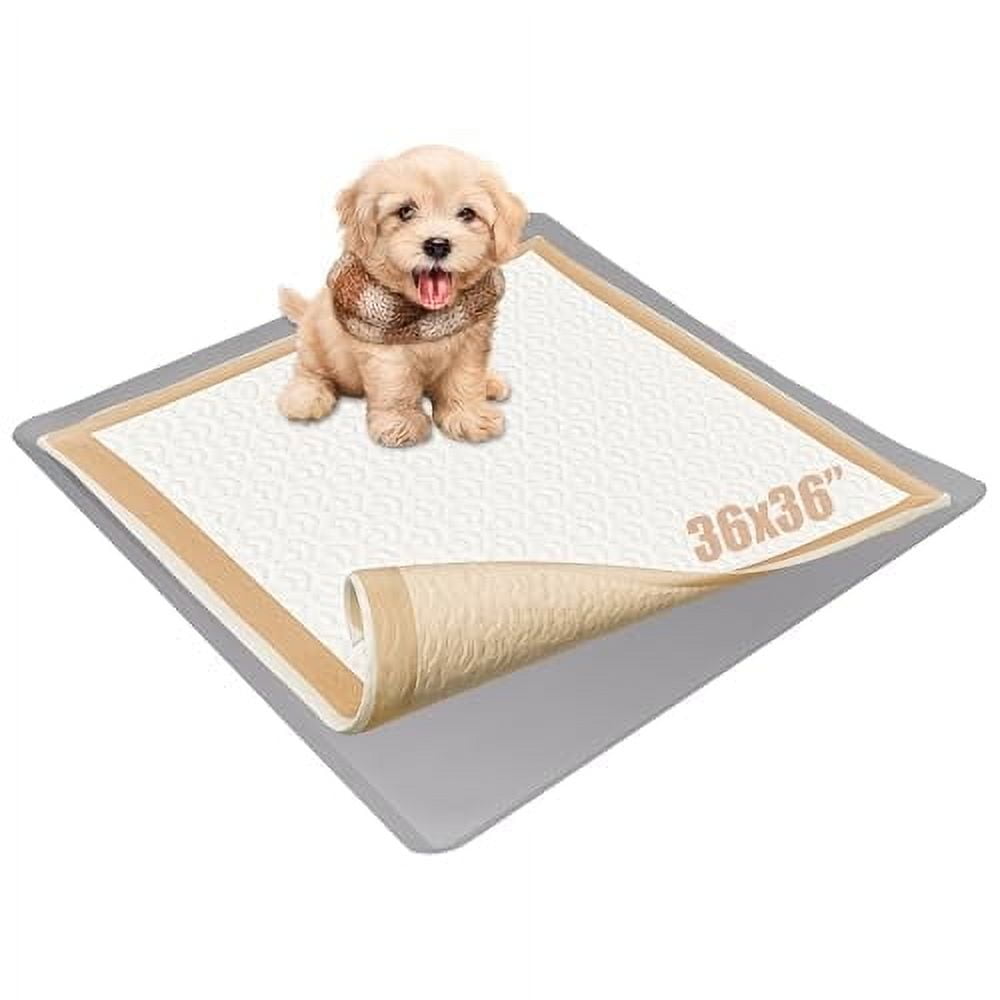 Skywin Dog Pad Holder Tray for 36 x 36 Inches Training Pads – Silicon ...