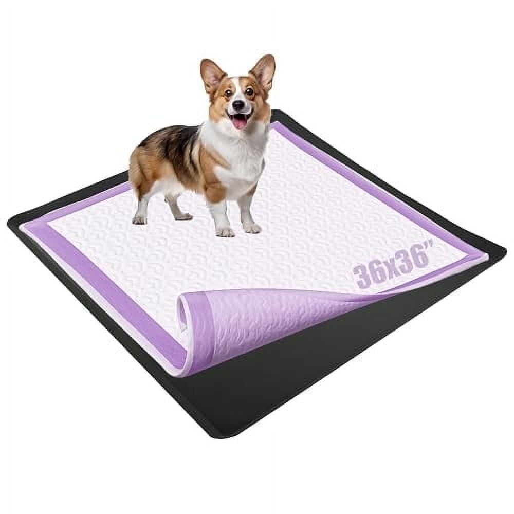 Skywin Dog Pad Holder Tray for 36 x 36 Inches Training Pads – Silicon ...
