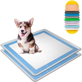 Skywin Pee Pad Holder - 28 x 34 Inches, No Spill and Leaks Silicone ...