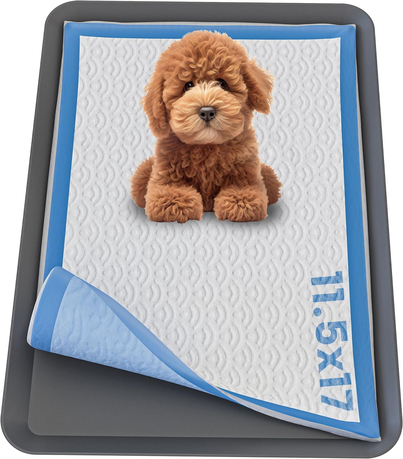 Skywin Dog Puppy Pad Holder Tray - Small, for 11.5 x 17 Inches Training ...