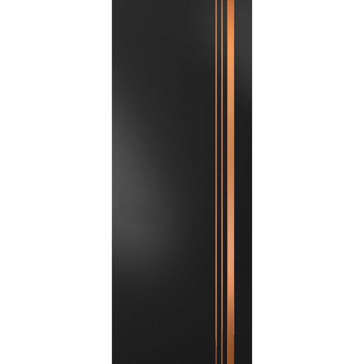 Slab Barn Door Panel 32 x 84 inches | Planum 1010 Matte Black with ...