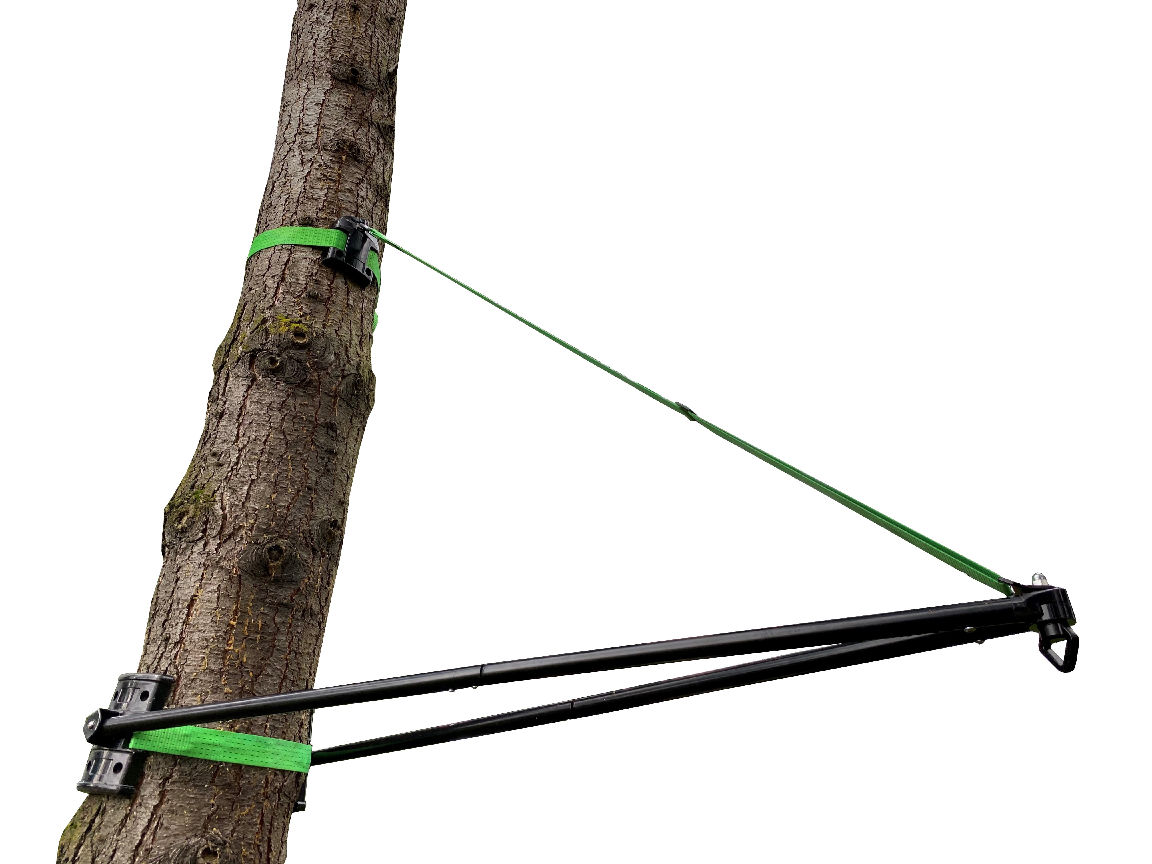 Slackers Build a Branch Swing Installation System Creates a Tree Branch ...