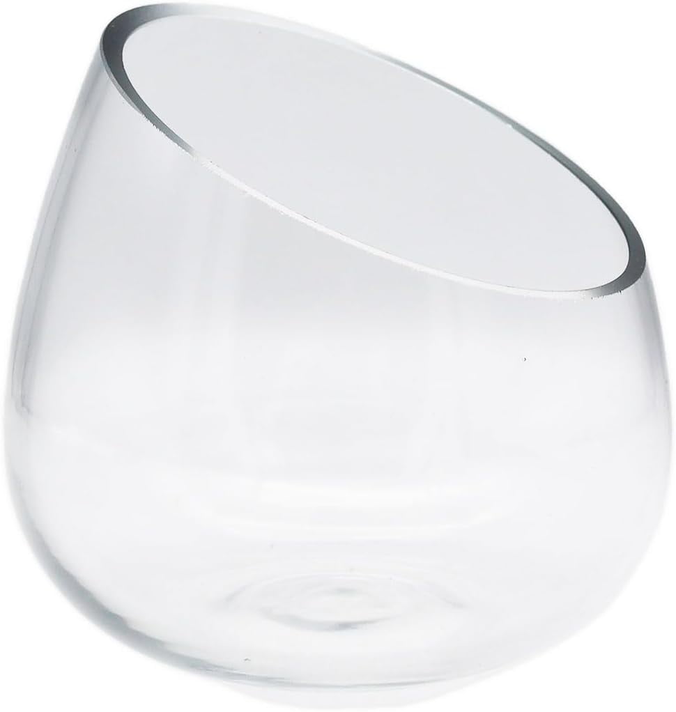 Slanted Glass Planter for Terrariums, Home Decor, and Indoor Garden ...