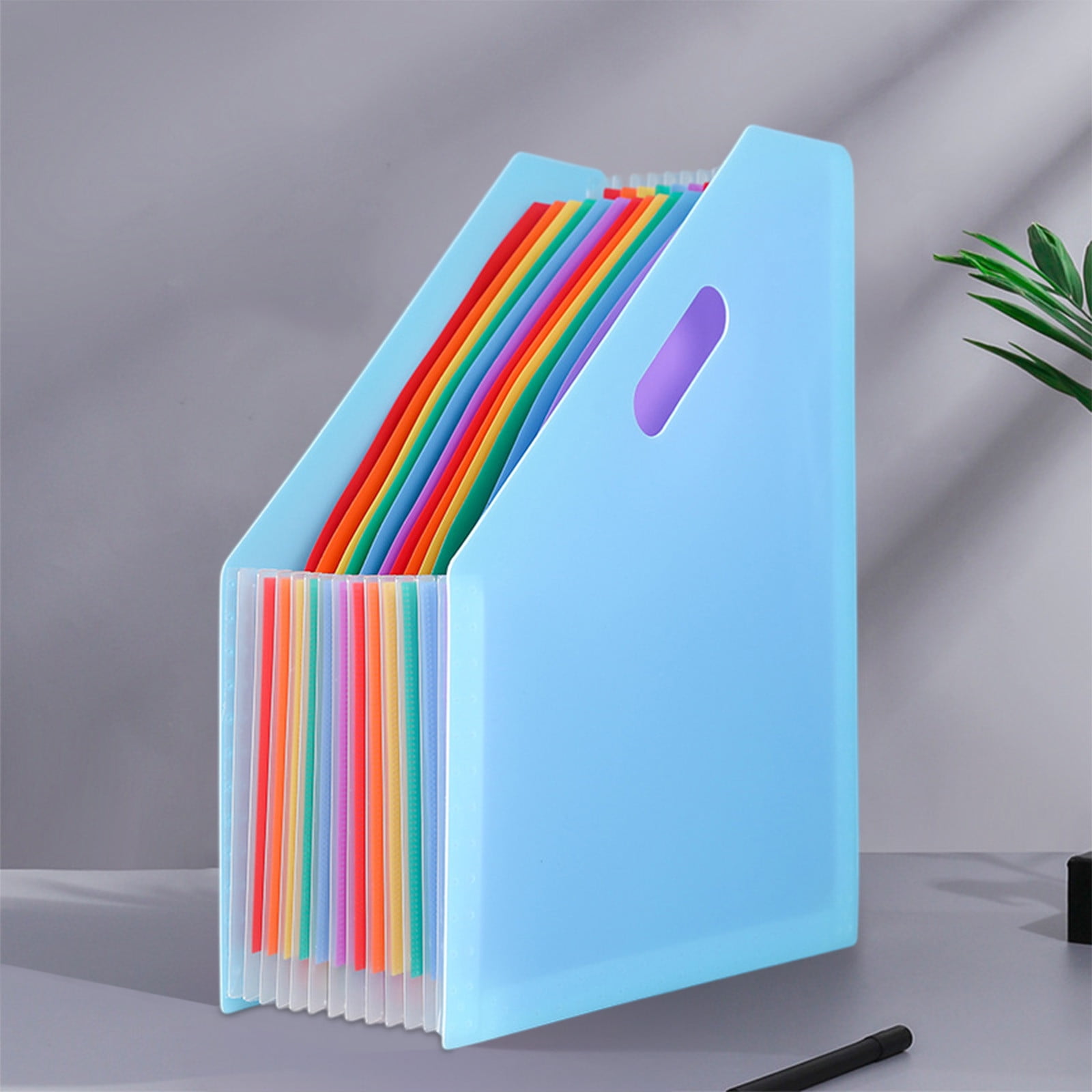 Slanted Vertical File Organizer for Office and Home Use, Multi ...