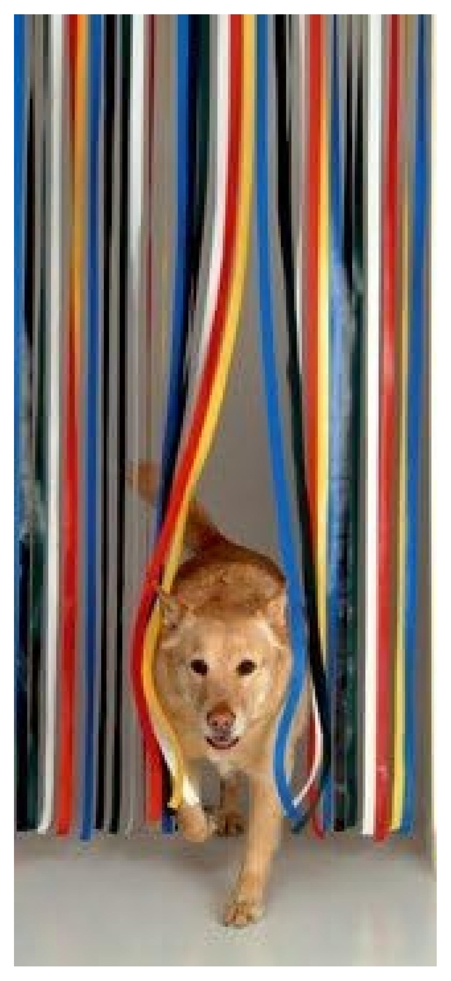 Slat Type Door Curtain,Bug Blind,Fly Blind,Strip Blind-Traditional ...