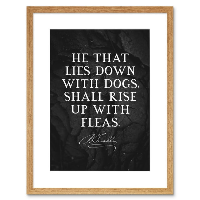 Slate Quote Benjamin Franklin Dogs Fleas Artwork Framed Wall Art Print ...