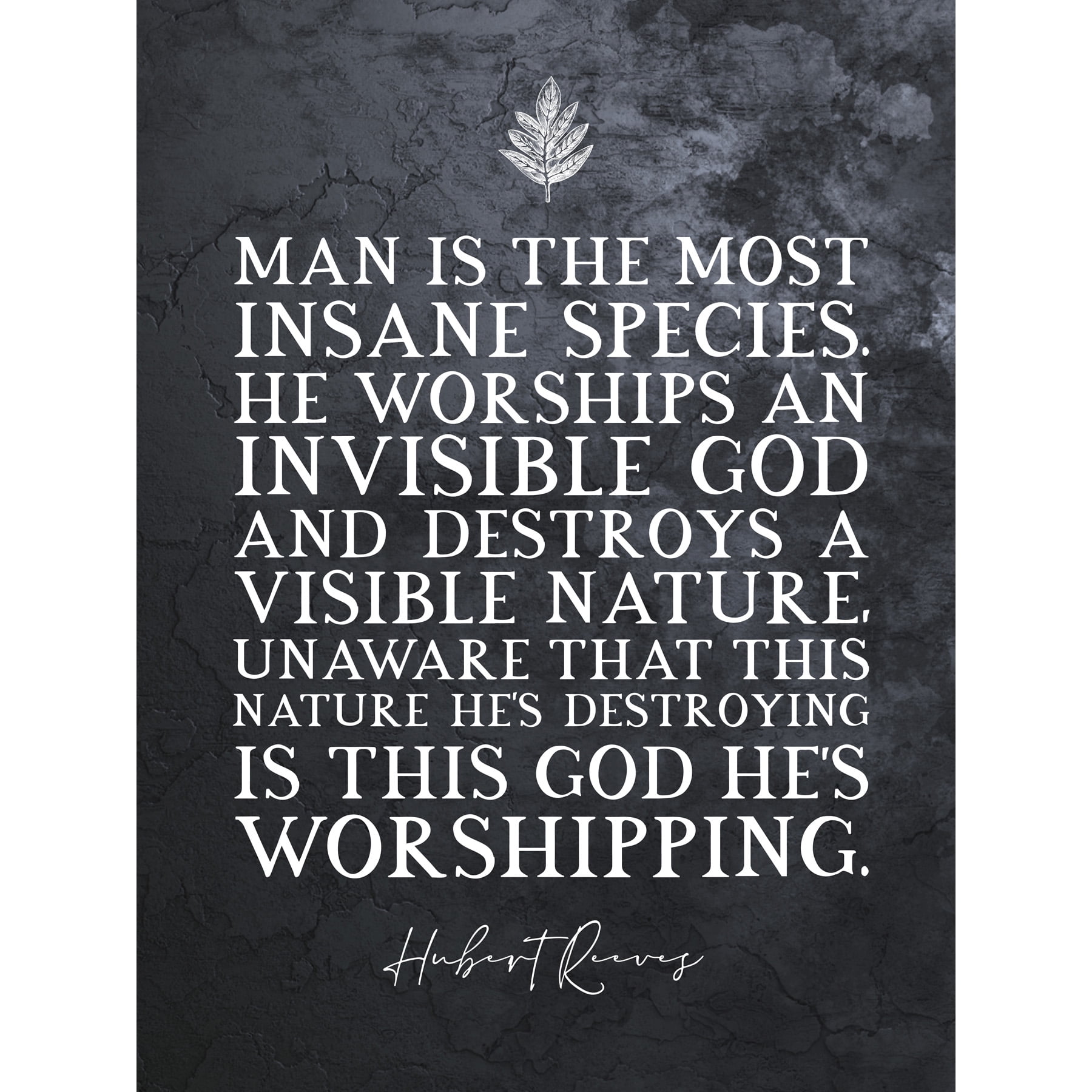 Slate Quote Hubert Reeves Invisible God Visible Nature Extra Large XL ...