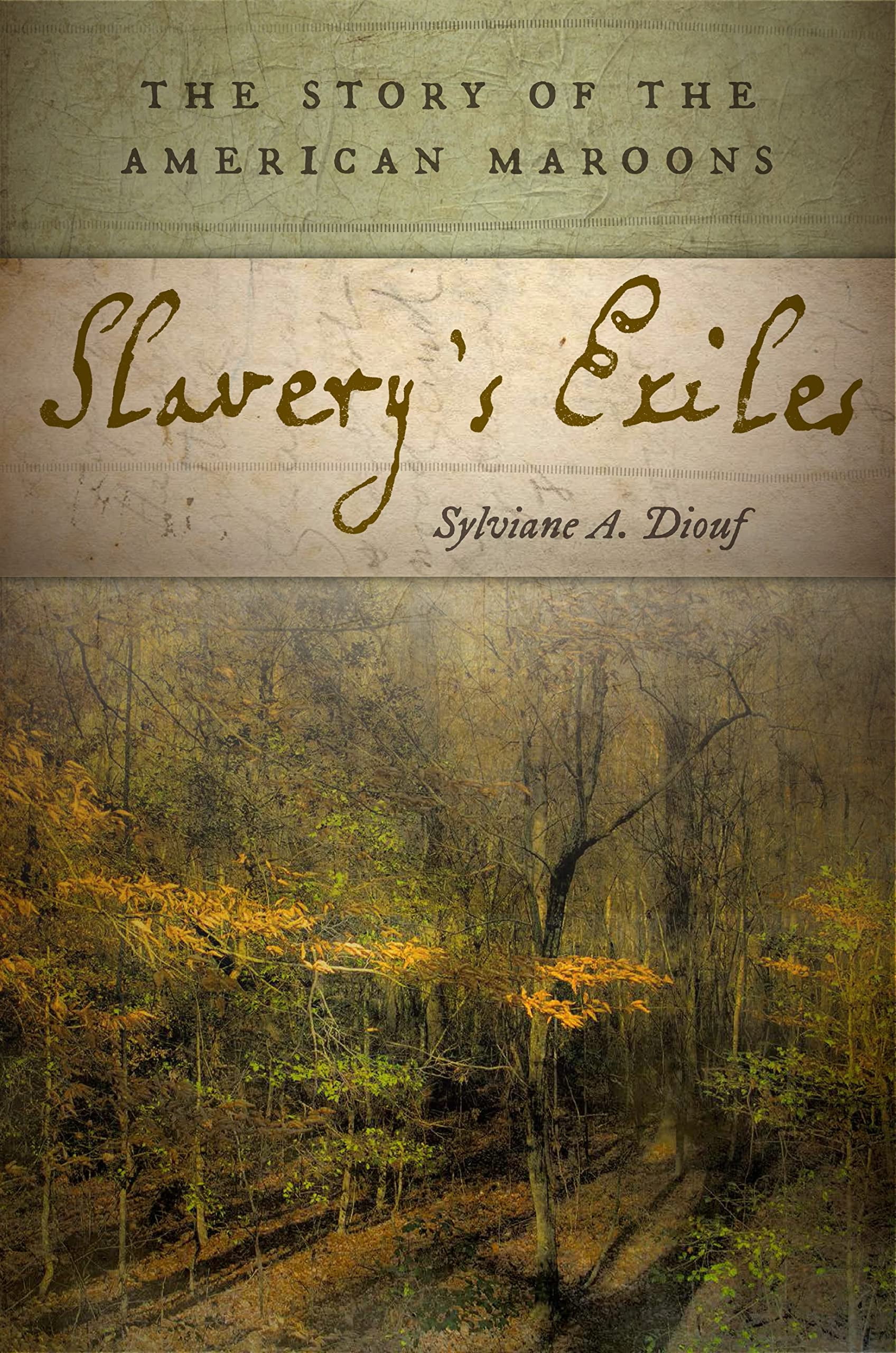 Pre-Owned Slavery's Exiles: The Story of the American Maroons ...