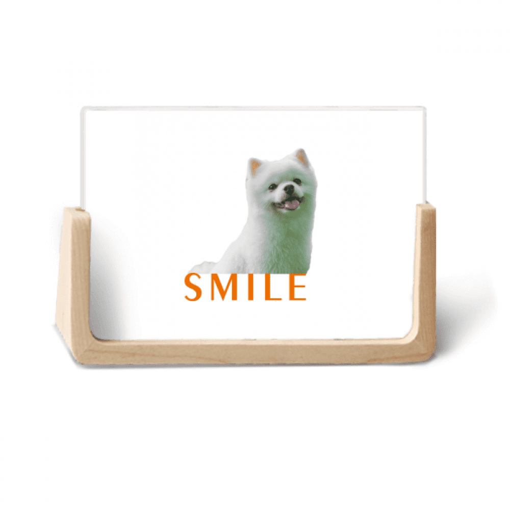 Sle Dogs Pets White Art Deco Fashion Photo Wooden Photo Frame Tabletop ...