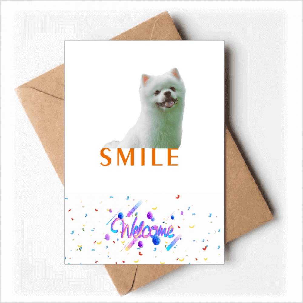 Sle Dogs Pets White Art Deco Fashion Welcome Back Greeting Cards ...