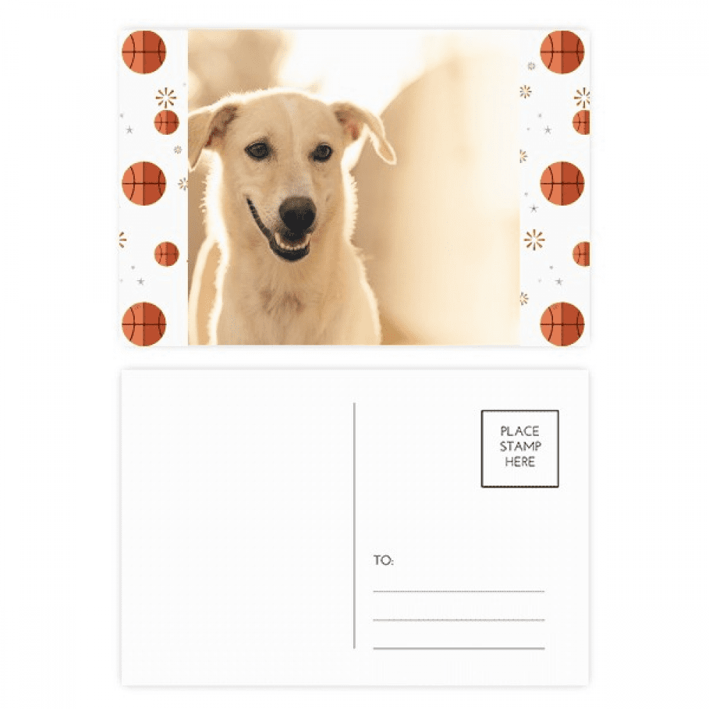 Sle White Dog Pet Picture Basketball Postcard Set Thanks Card Mailing ...