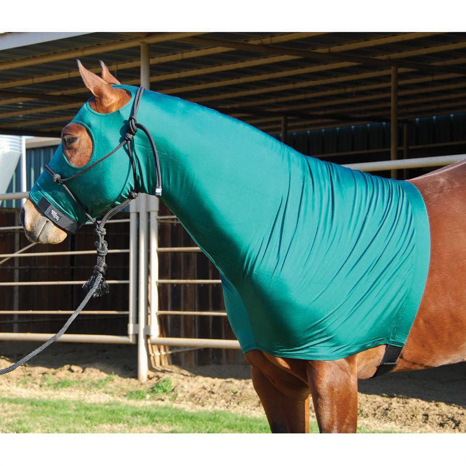 Sleazy Sleapwear For Horses Sleazy Hood Solid Colors Green XL - Walmart.com