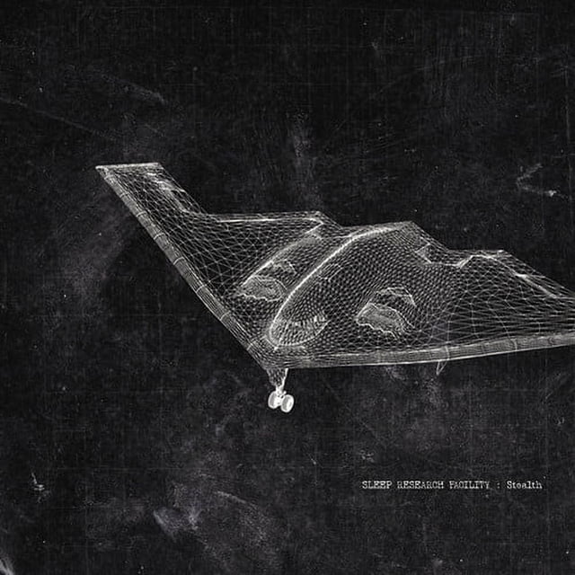 Sleep Research Facility - Stealth - Rock - CD - Walmart Business Supplies