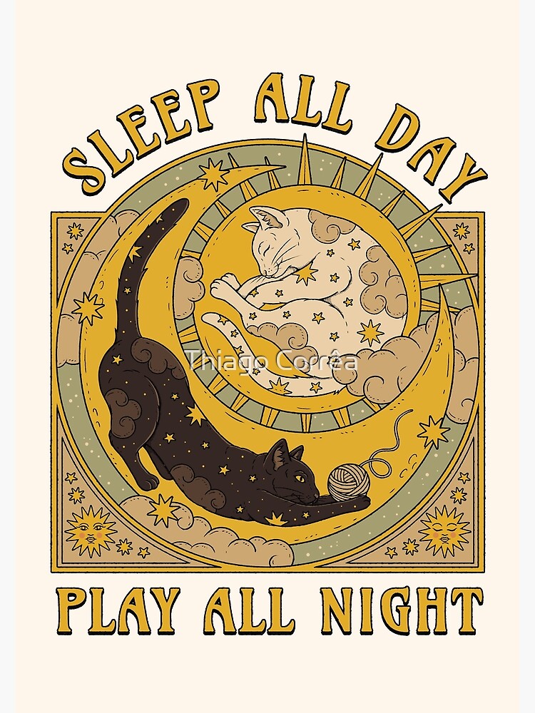 Sleep all Day, Play all Night Fashion Art Decor Frame - Walmart.com