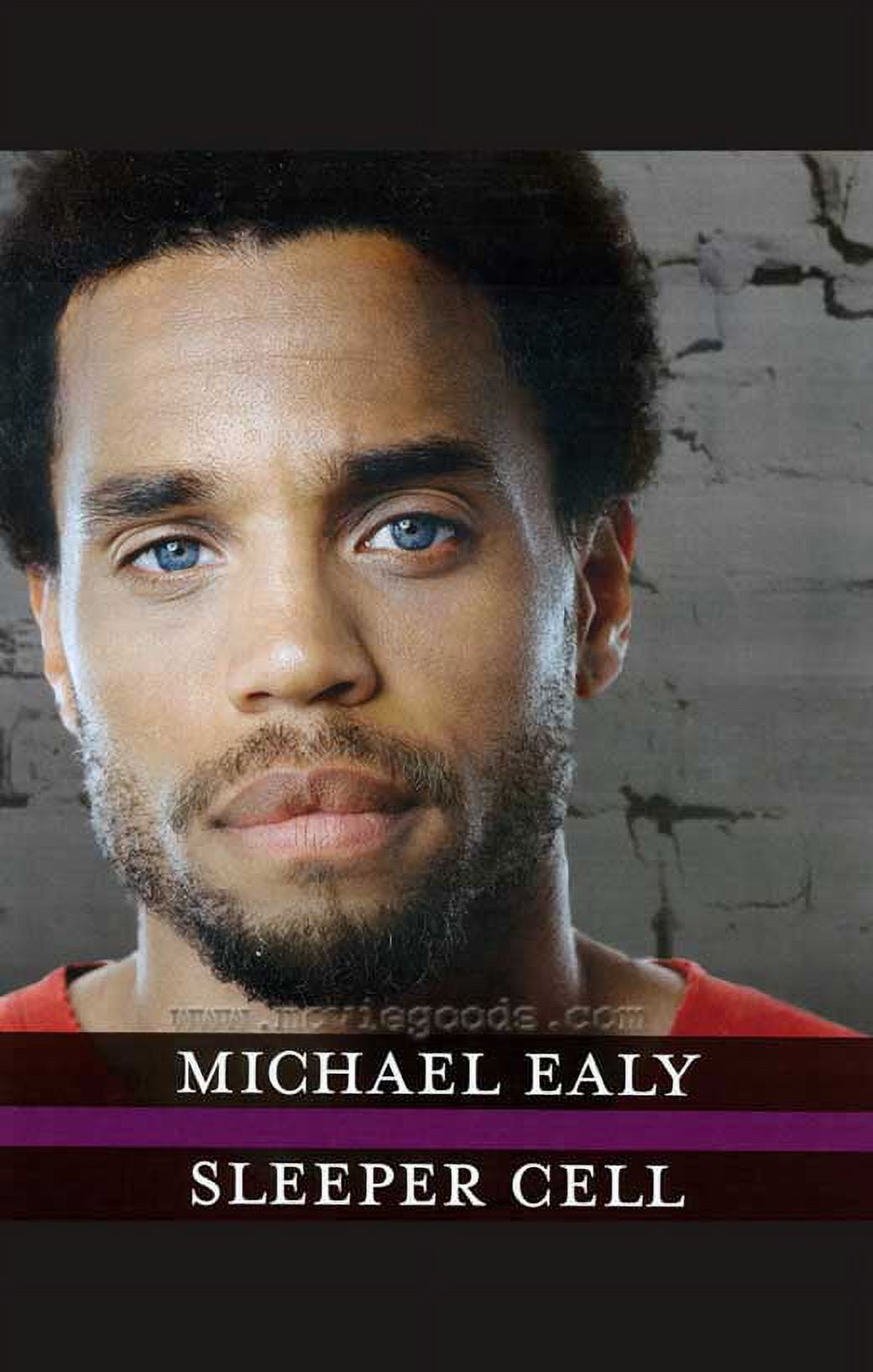 Sleeper Cell - movie POSTER (Style C) (11" x 17") (2005) - Walmart.com