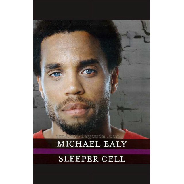 Sleeper Cell - movie POSTER (Style C) (11" x 17") (2005) - Walmart.com