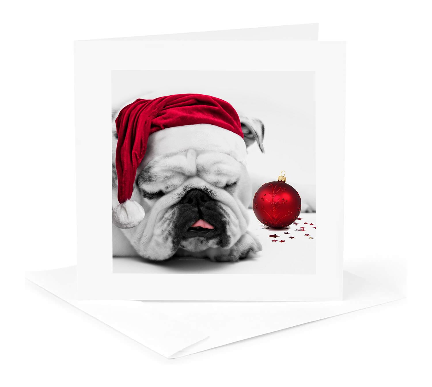 3dRose, Sleeping Bulldog in a Santa Hat Christmas Card photo courtesy ...