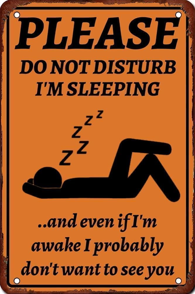 Sleeping Do Not Disturb Vintage Metal Aluminum Tin Sign Door Signs ...