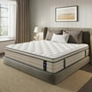 Sleepmax Queen Mattress - Healthcare sleep beds for patients - Walmart ...