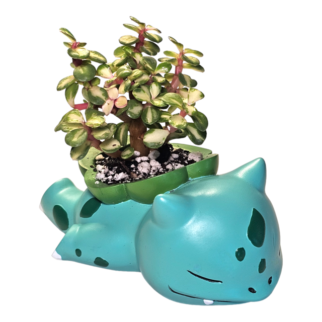 Sleepy Bulbasaur Planter Pot 3.5'' - Mini Anime Succulent Planter For ...