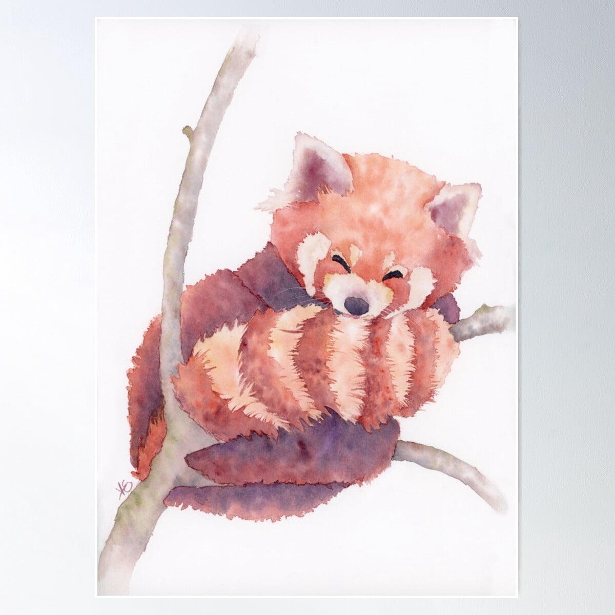 Sleepy Red Panda Poster Wall Art, Modern Wall Decor For Living Room ...