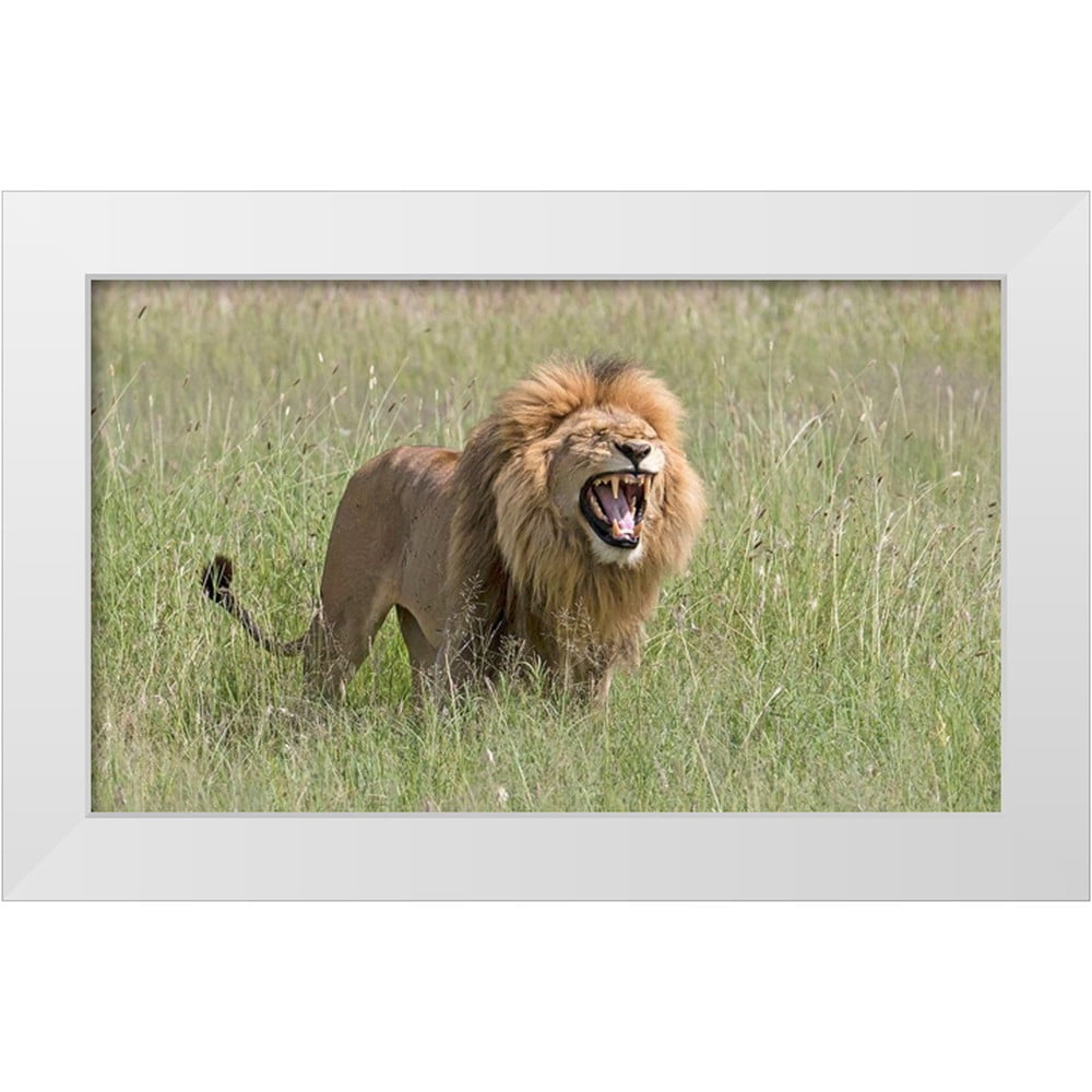 Sleicher, Charles 24x16 White Modern Wood Framed Museum Art Print ...