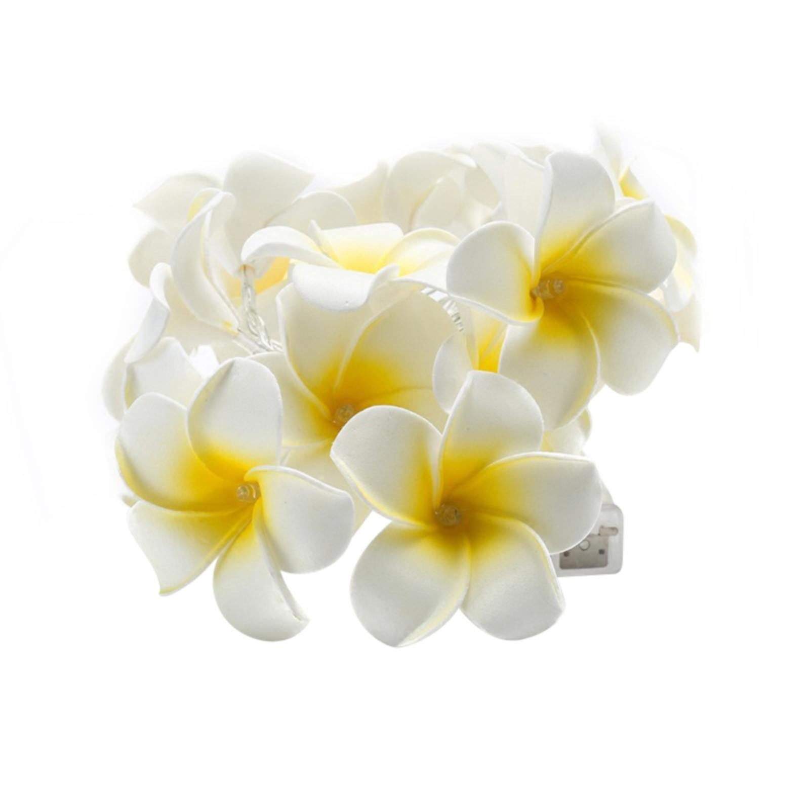 Slhljlin Blinking Lights Outdoor Led Solar Miniature Lights 50 Warm Led ...