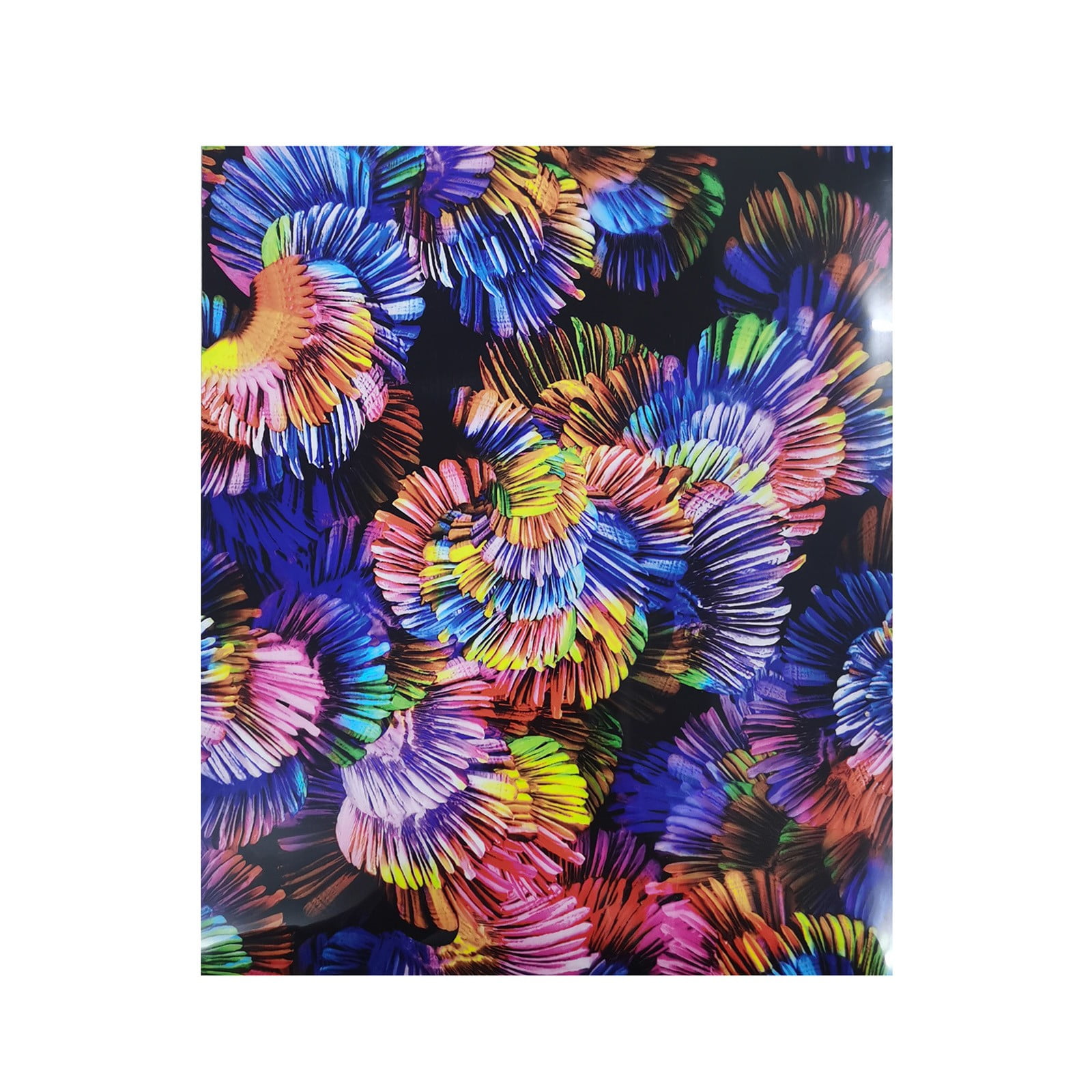 Slhljlin Heat Transfer Vinyl Heat Transfer Vinyl Bundle Roll, Tpu Heat ...