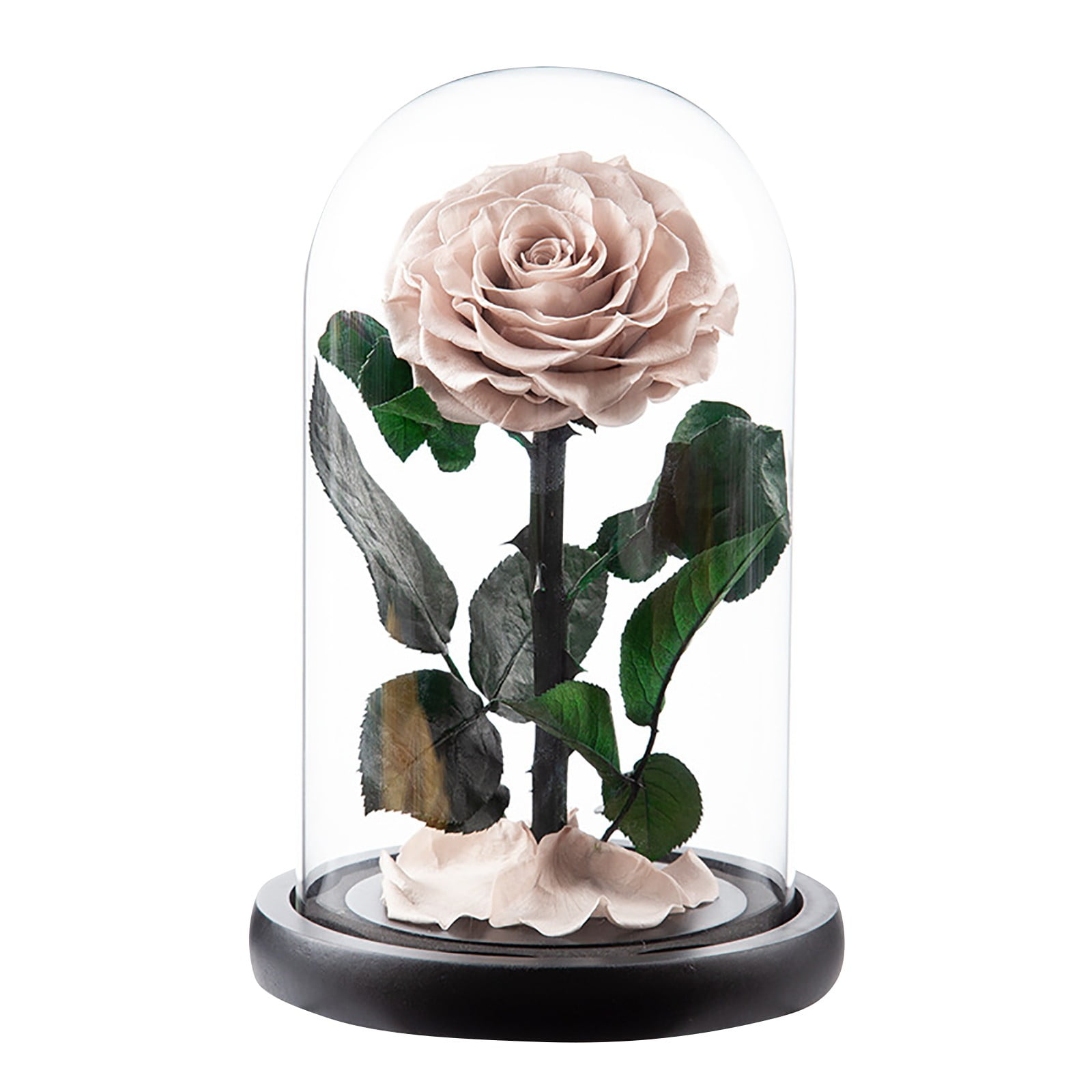 Slhljlin Rack Standing Rack Stainless 3-Layer Kitchen Steel Cruet ...