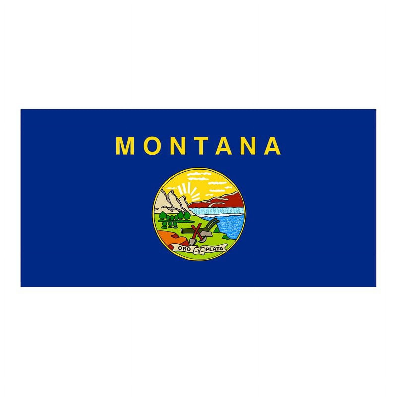 Slick Woody's 60" Montana State Flag Vinyl Pool Tattoo in Blue ...