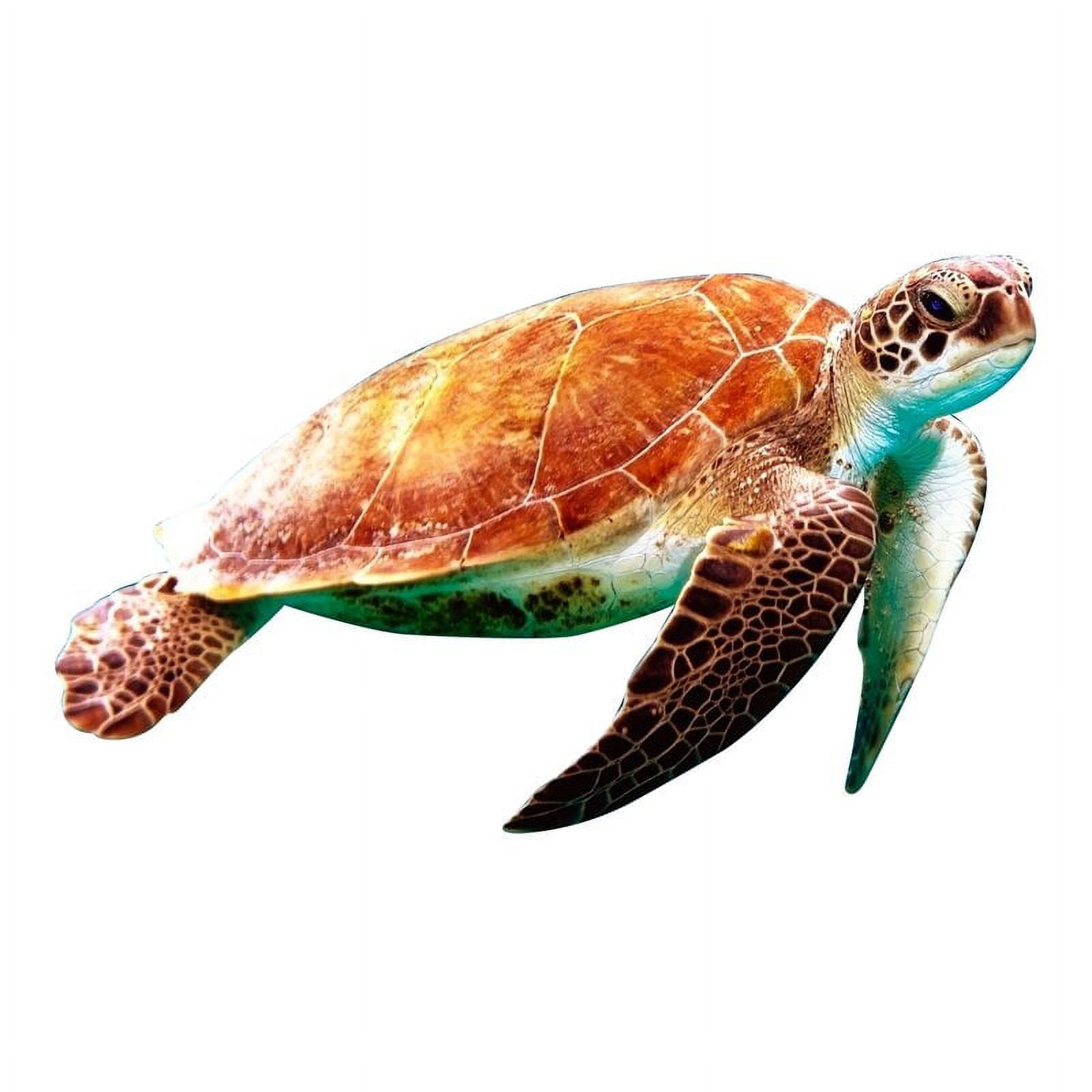 Slick Woody's 60" Sea Turtle Vinyl Underwater Pool Mat Tattoo in Brown ...