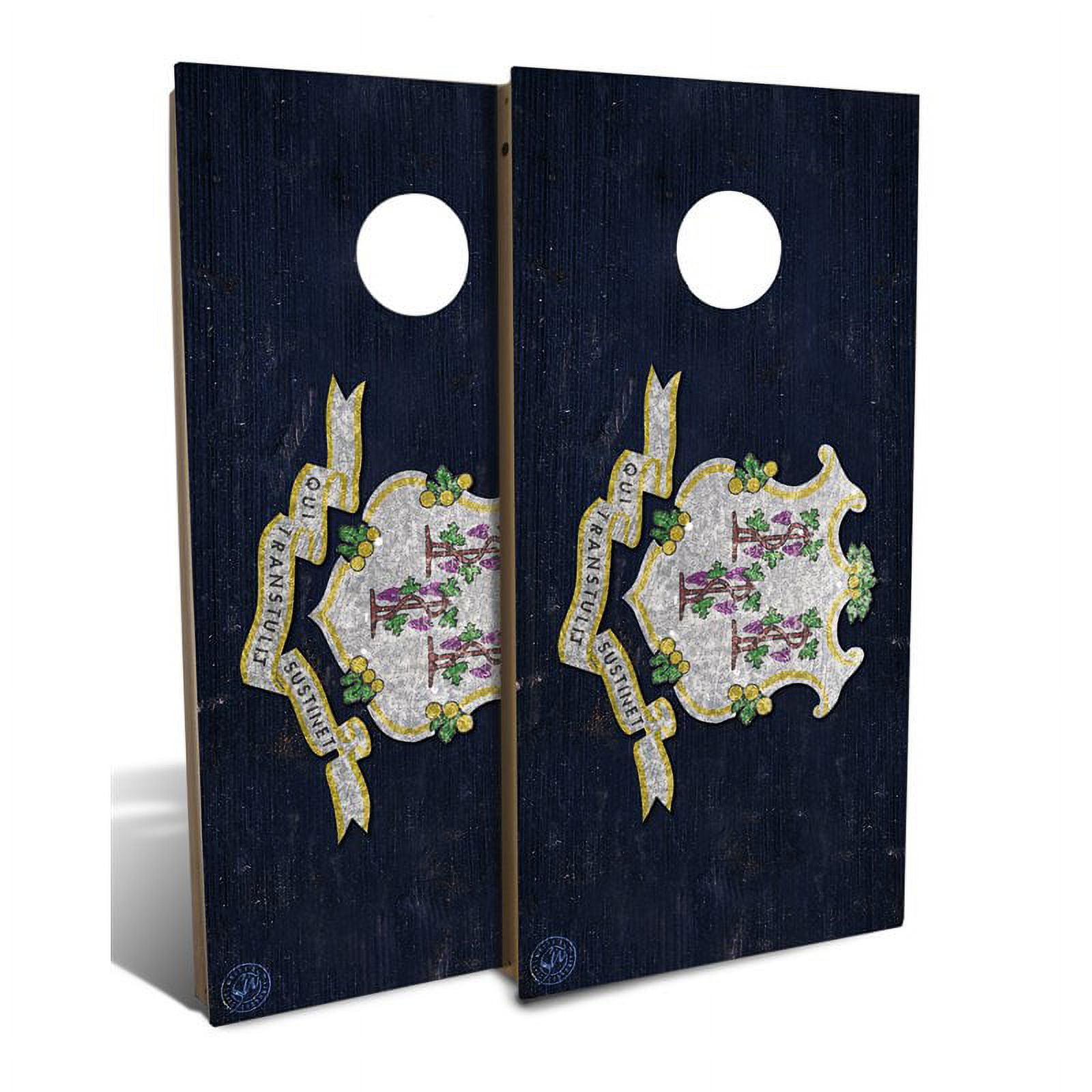 Slick Woody's Backyard Connecticut State Flag Cornhole Board Set in ...